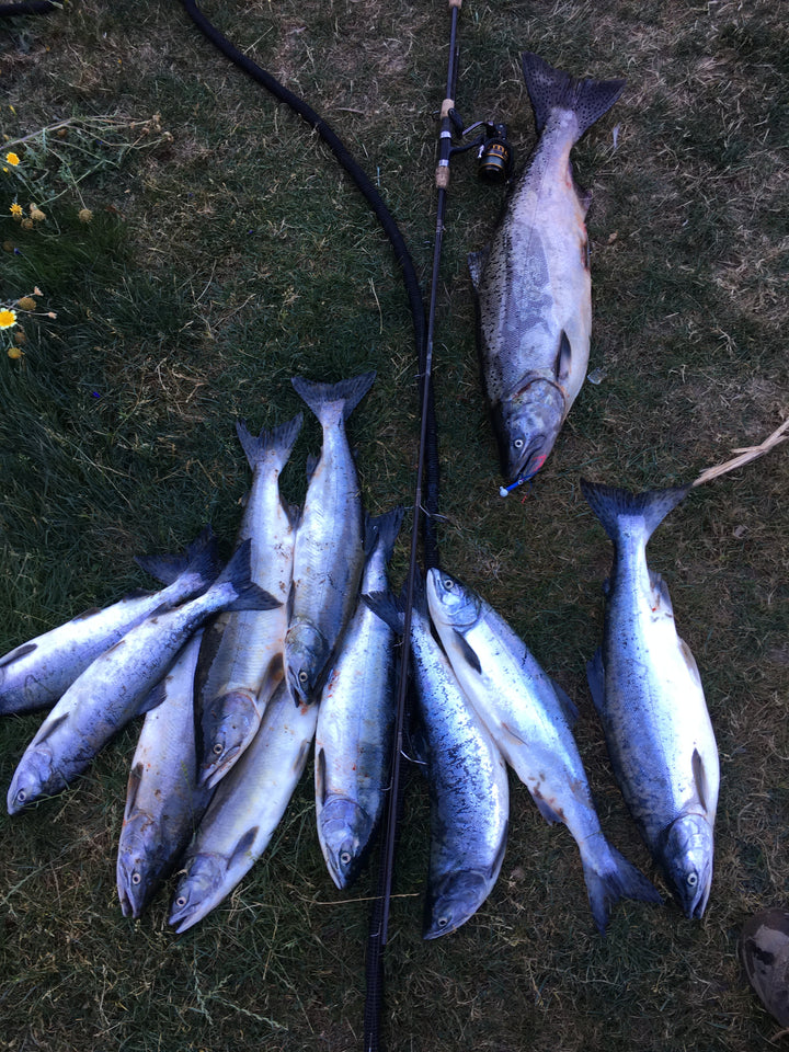 SakLures – HoyFishing